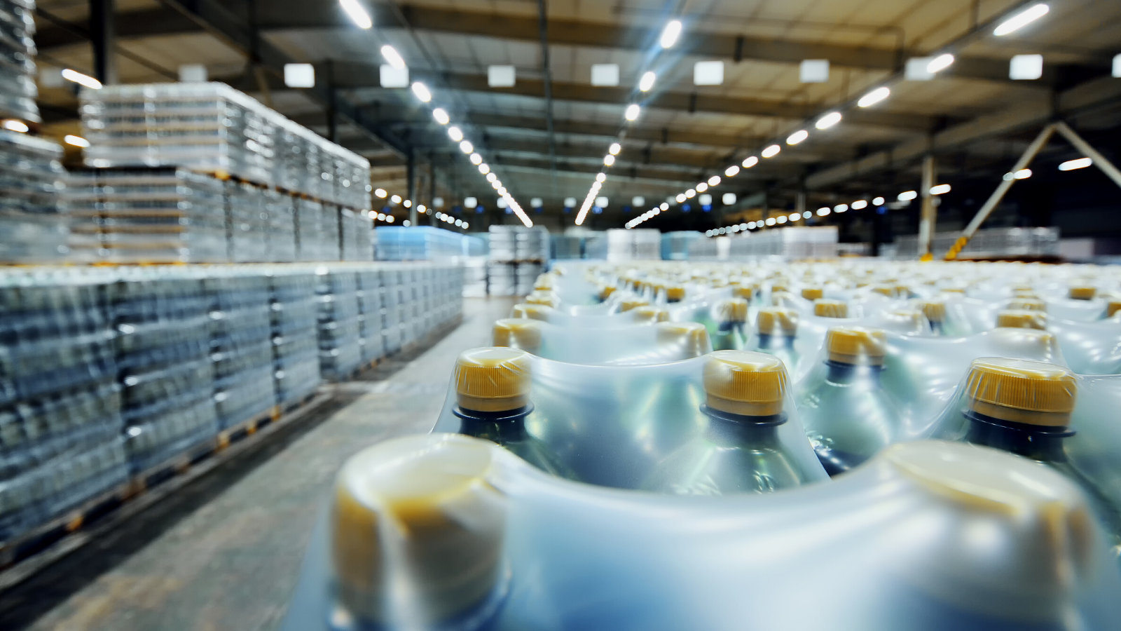 Food Supply Chain Management | SGS USA