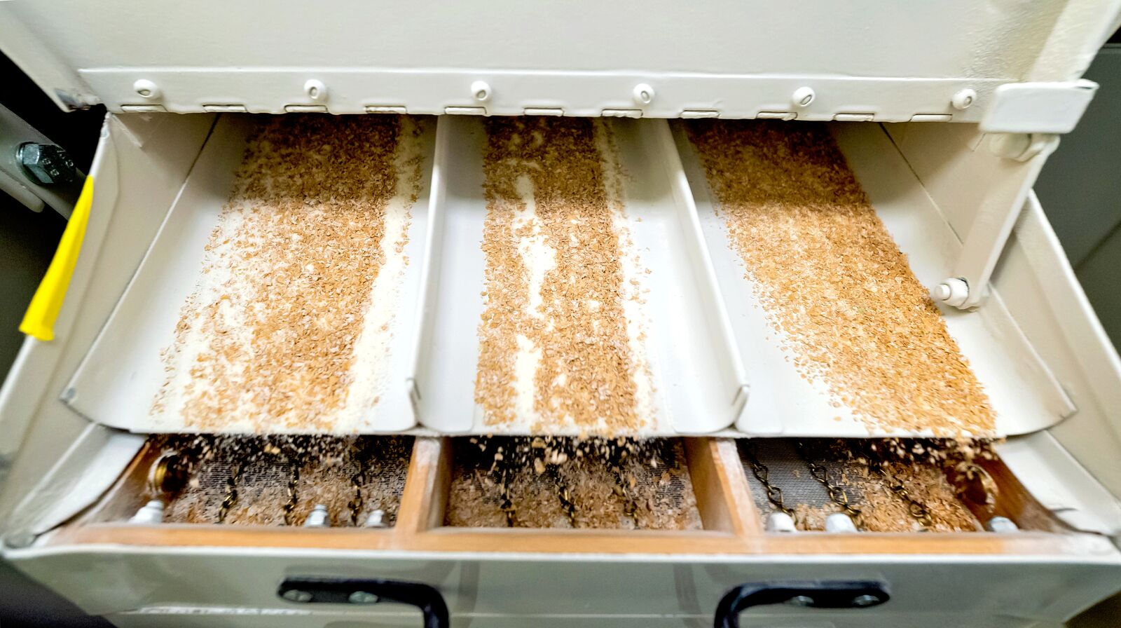 Agricultural Commodities Inspection | SGS