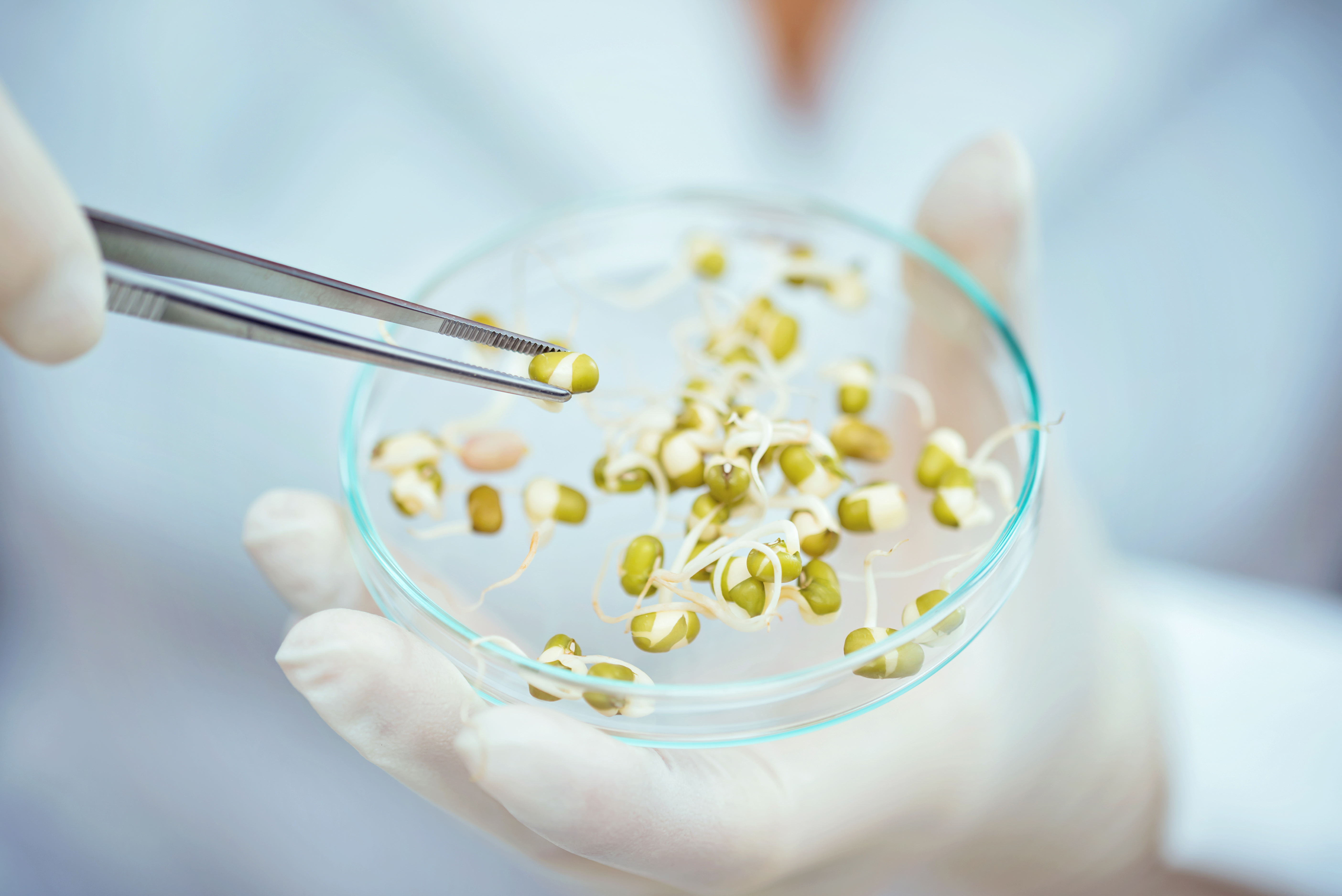 Microbiology and Validation | SGS